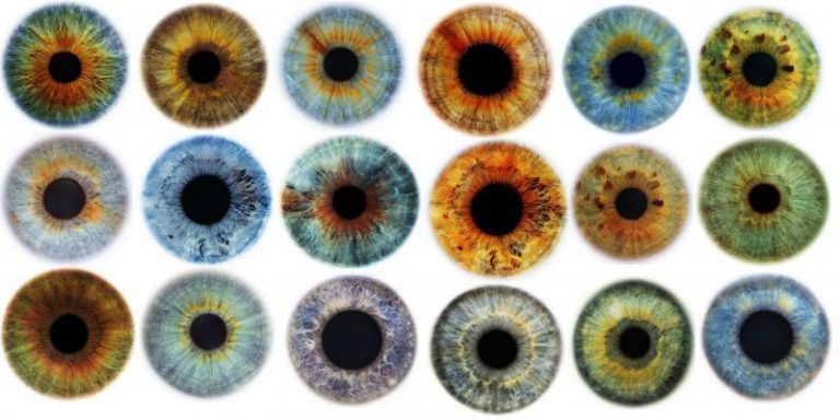 Los 8 colores de ojos más raros del mundo – www.ecodaisynature.com